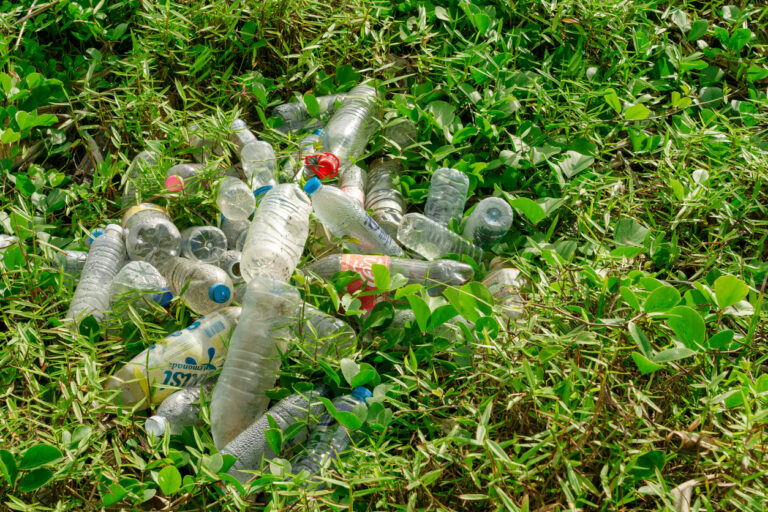 Single-Use Plastics Phase Out on Public Lands – Environmental and ...