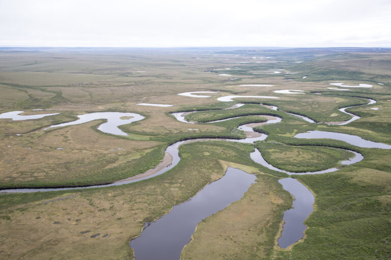 Oil and Gas Development in Alaska’s National Petroleum Reserve ...